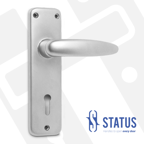 Lever Handle on Backplate - Handles, Hinges & Locks