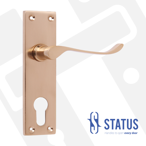 Lever Handle on Backplate - Handles, Hinges & Locks